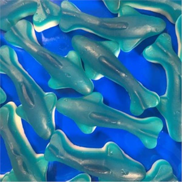 Regular Gummy Sharks